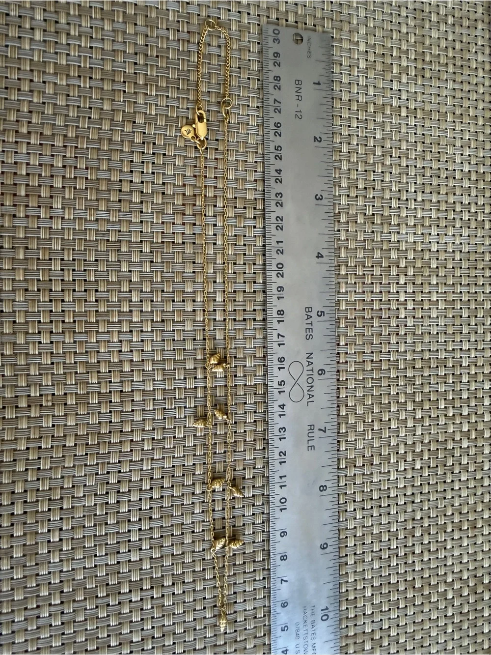 Madewell | Jewelry | Madewell Mini Seashell Necklace | Poshmark